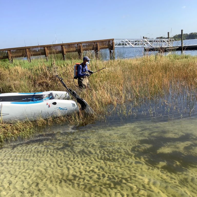 Lake Restoration Company | Karina Lakefront Maintenance & Clean Up