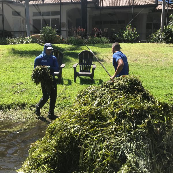 Central Florida Lake Restoration