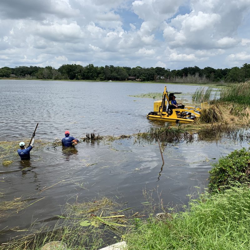 Central Florida Lake Restoration