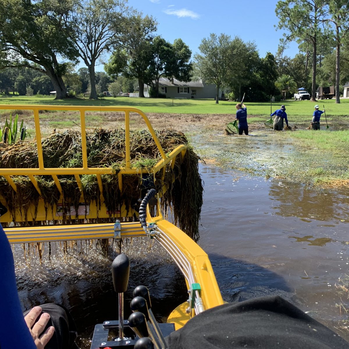 Lake Restoration Company | Karina Lakefront Maintenance & Clean Up